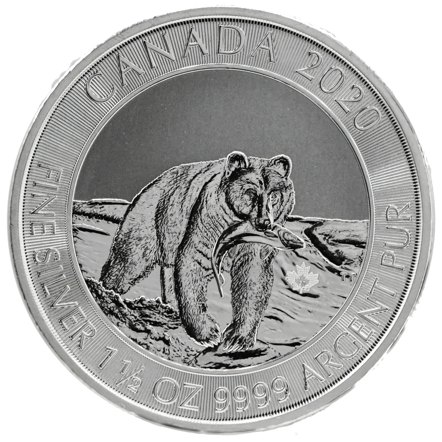 Silver Spirit Bear Coin Overview